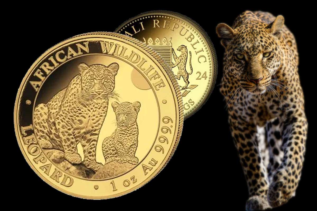 Somalia Leopard Gold kaufen – Infos und Preise auf GOLD.DE